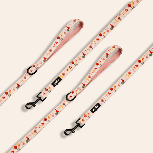 PETLY - Dog & Cat Accessories To Elevate Your Pets Comfort and Style ...